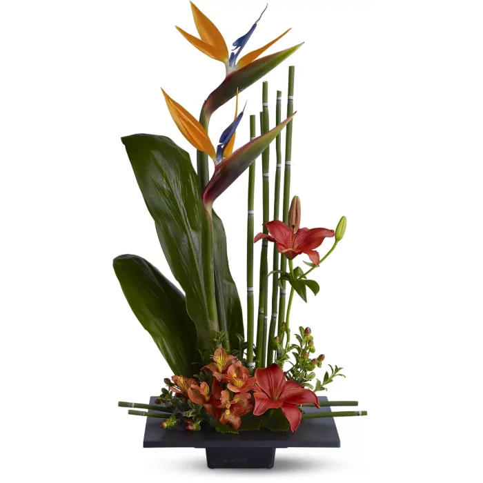Paradise Found - T12Z111A ($60.25)